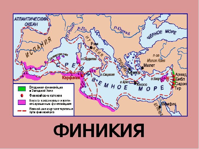 Основные занятия финикийцев кратко об истории жителей Финикии для 5 класса